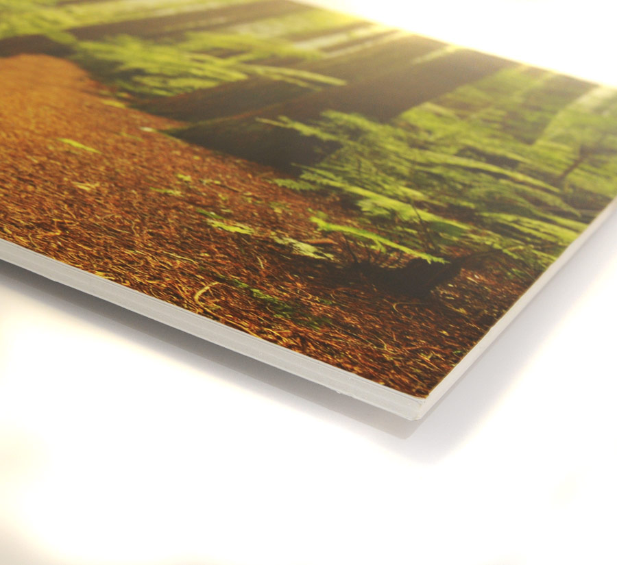 Foamex Mounted Posters Printing - Need A Print